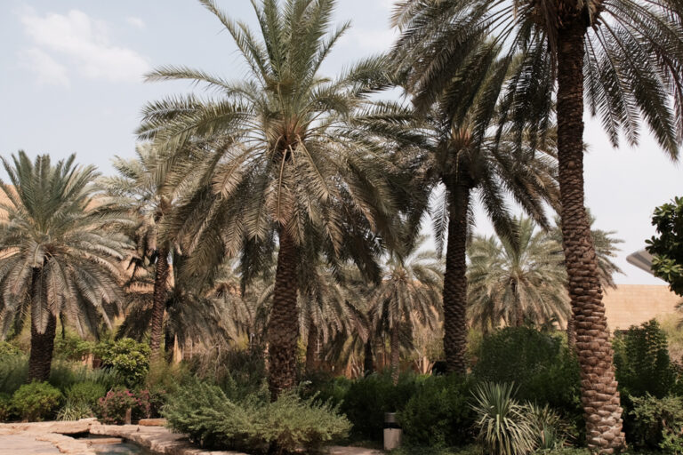 Visit to Al-Murabba Palace in Riyadh | Her Saudi Arabia Adventures