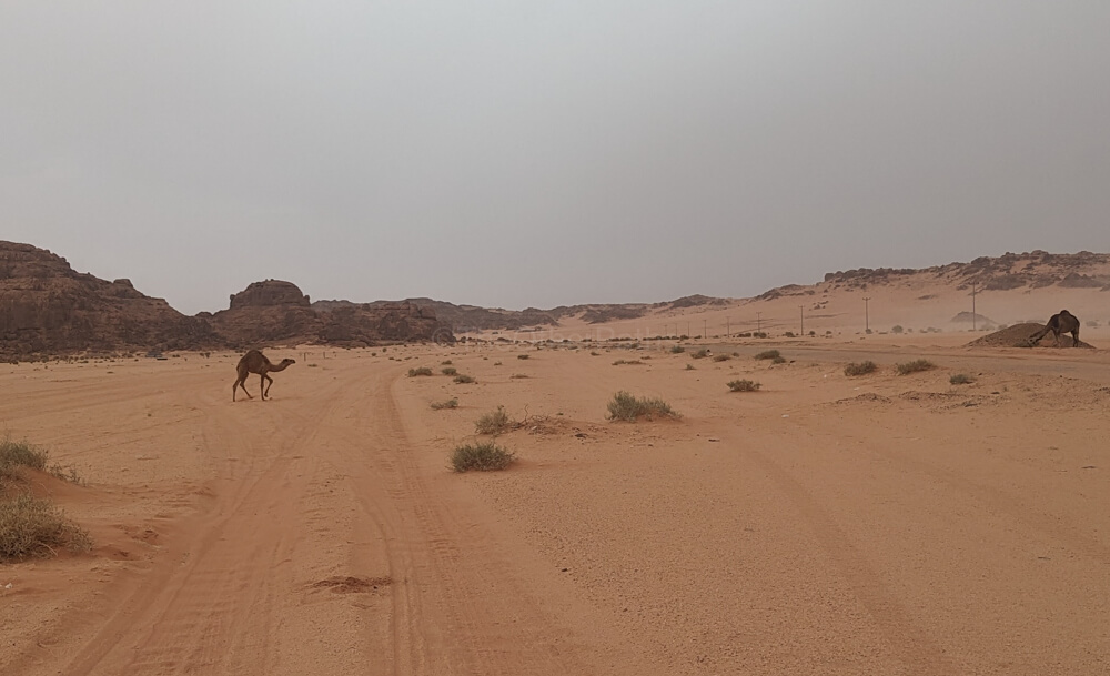 Al-Shaq: The Grand Canyon of Saudi Arabia