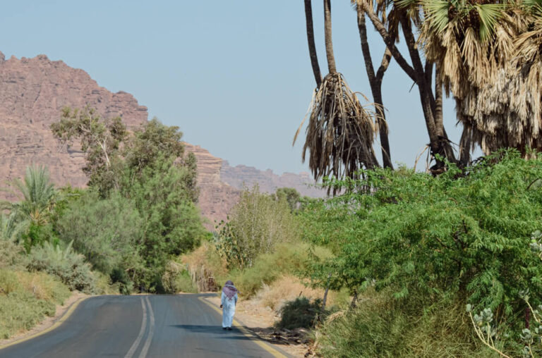 Wadi Al Disah in Tabuk | Her Saudi Arabia Adventures