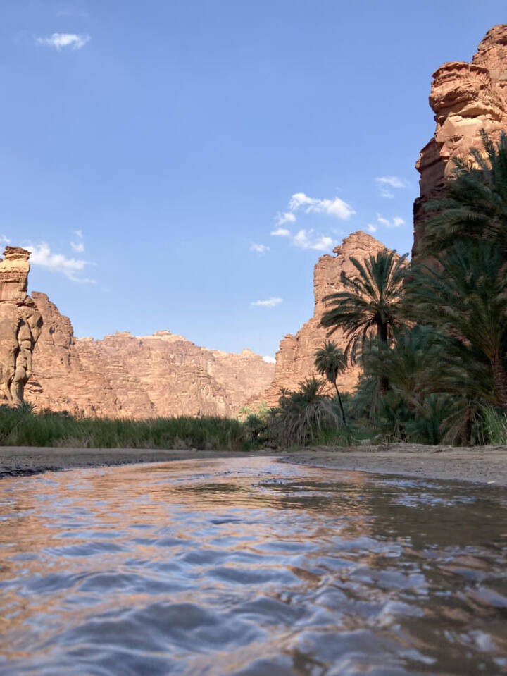 Wadi Al Disah in Tabuk | Her Saudi Arabia Adventures