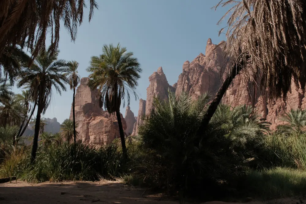Wadi Al Disah in Tabuk | Her Saudi Arabia Adventures