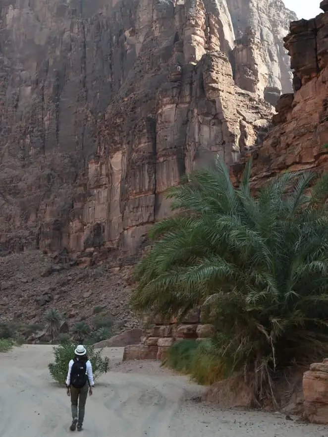 Wadi Al Disah in Tabuk | Her Saudi Arabia Adventures