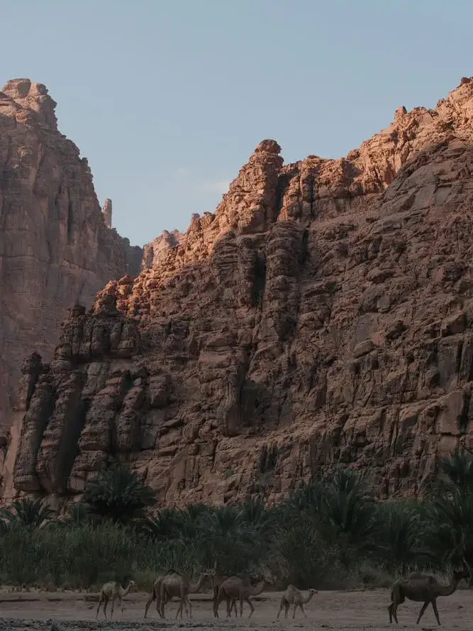 Wadi Al Disah in Tabuk | Her Saudi Arabia Adventures