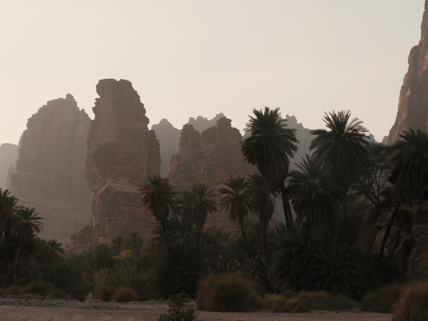 Wadi Al Disah in Tabuk | Her Saudi Arabia Adventures
